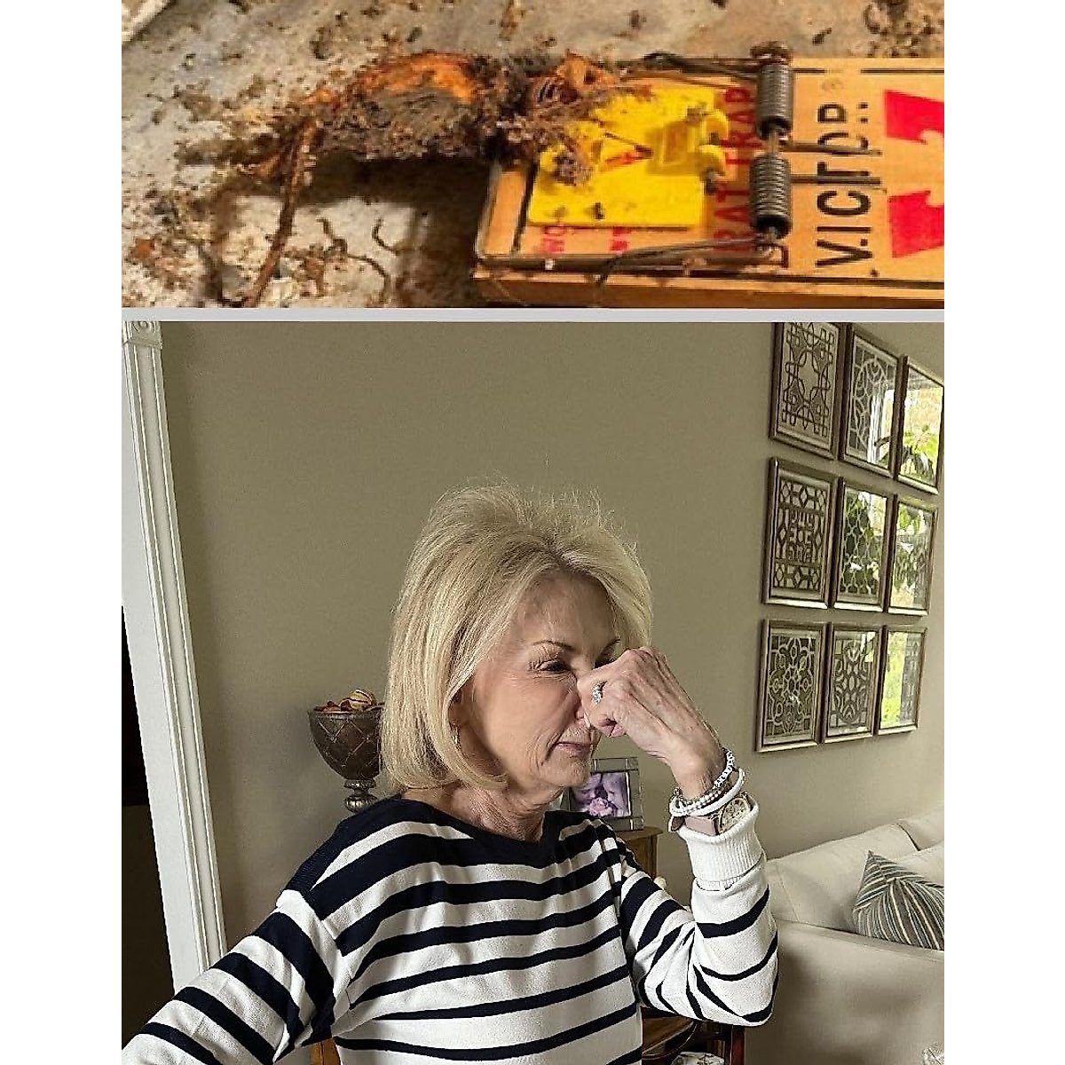 Mouse Trap Alert - No more unpleasant smells in your home because of decaying mouse, you are alerted when the mouse trap is triggered