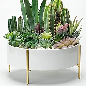 kimisty 10 Inch Large Round Succulent Planter Bowl with Gold Metal Plant Stand, White Ceramic Pot with Drainage, Succulent Garden Shallow Pot, Centerpiece Tabletop