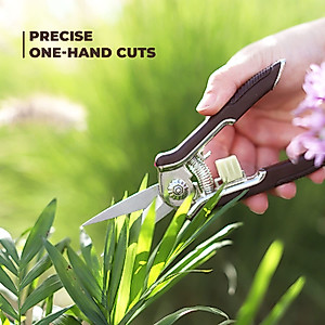 Winslow&Ross Garden Pruning Shears Set - 2 Pack, 1 Bypass Pruner+1 Anvil Pruner, Professional Garden Shears for Cutting Flowers, Bonsai, Fruits Picking