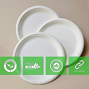 Leste Disposable Bagasse Paper Plates, Heavy-Duty Party Plates, 100% Compostable, Made of Natural Sugarcane Fibers - Biodegradable Paper Plates (Natural - Round, 9 Inch - 50 Count)