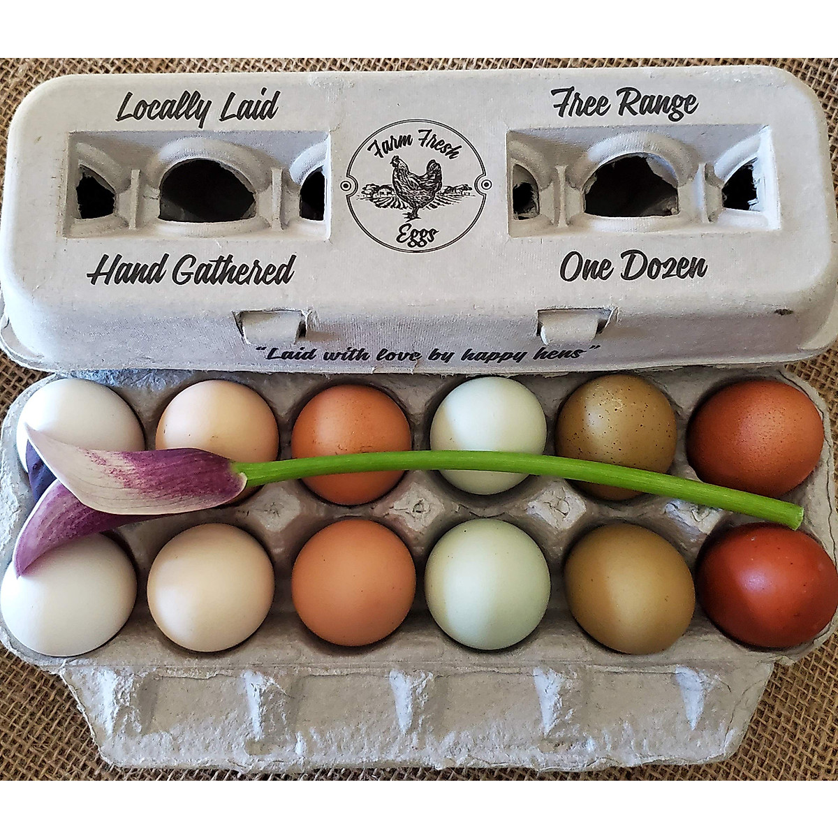 25 Egg Cartons – Adorable Vintage Design for your Farm Fresh Eggs, 100% Recycled Paper Cardboard, Sturdy & Reusable, Holds Small to XL Chicken Eggs