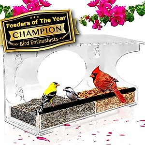 Large Clear Window Bird Feeder - Extended House with Strong Suction Cups - Steel Perch Sliding Feed Seed Tray - See Through Transparent Big Birdhouse - Wild Finch, Cardinal, Blue Jay - Cool Cat Gift