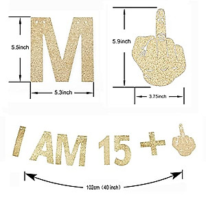 Morndew Gold Gliter I AM 15+1 Paper Banner for 16th Birthday Party Sign Backdrops Funny/Gag 16 Bday Party Wedding Anniversary Celebration Party Retirement Party Decorations