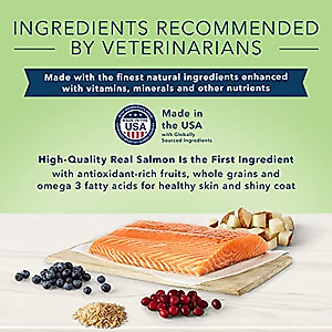 Blue Buffalo True Solutions Perfect Skin & Coat Natural Adult Dry Cat Food, Salmon 11-lb