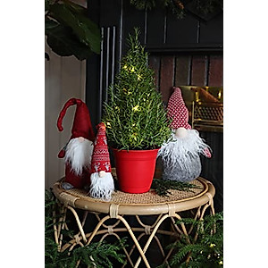 The HC Companies 6 Inch Eclipse Round Planter with Saucer - Indoor Outdoor Plant Pot for Flowers, Vegetables, and Herbs, Strawberry Red