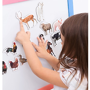 16 Fridge Magnets for Toddlers Magdum - Farm Photo Kids Magnets for Fridge - Toddler Magnets for Refrigerator - Magnetic Animals - Fridge Magnets for Kids - Animal Magnets - Toddler Fridge Magnets