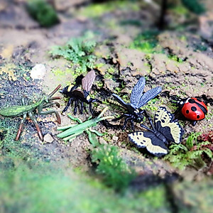 RCOMG 12 PCS Small Realistic Insects Figures Toys, Plastic Wildlife Animal Fake Bug Toys Halloween Party Favor School Project Bug Figurines Set for Kids Toddlers