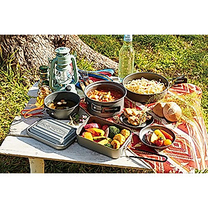 Skater AFTM10N-A Mestin, No Seasoning Required, Rice Rice, Rice, 33.8 fl oz (1,000 ml), Live in Net