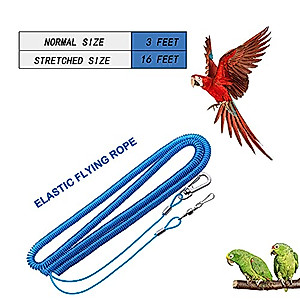 Parrot Bird Harness Leash Anti-bite Outdoor Blue Flying Training Rope with 5pcs Different Sizes of Soft Foot Loops and Training Whistle(Upgraded Version of Ankle Ring)