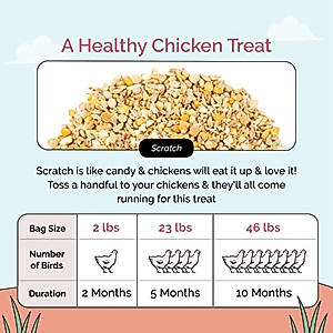 Mile Four | Chicken Scratch | 100% US Grown Grains, Organic, Non-GMO, Soy-Free, Non-Medicated, Whole Grain Chicken Treats for Hens & Roosters | Scratch for Chickens, Ducks & Waterfowl | 23 lbs.