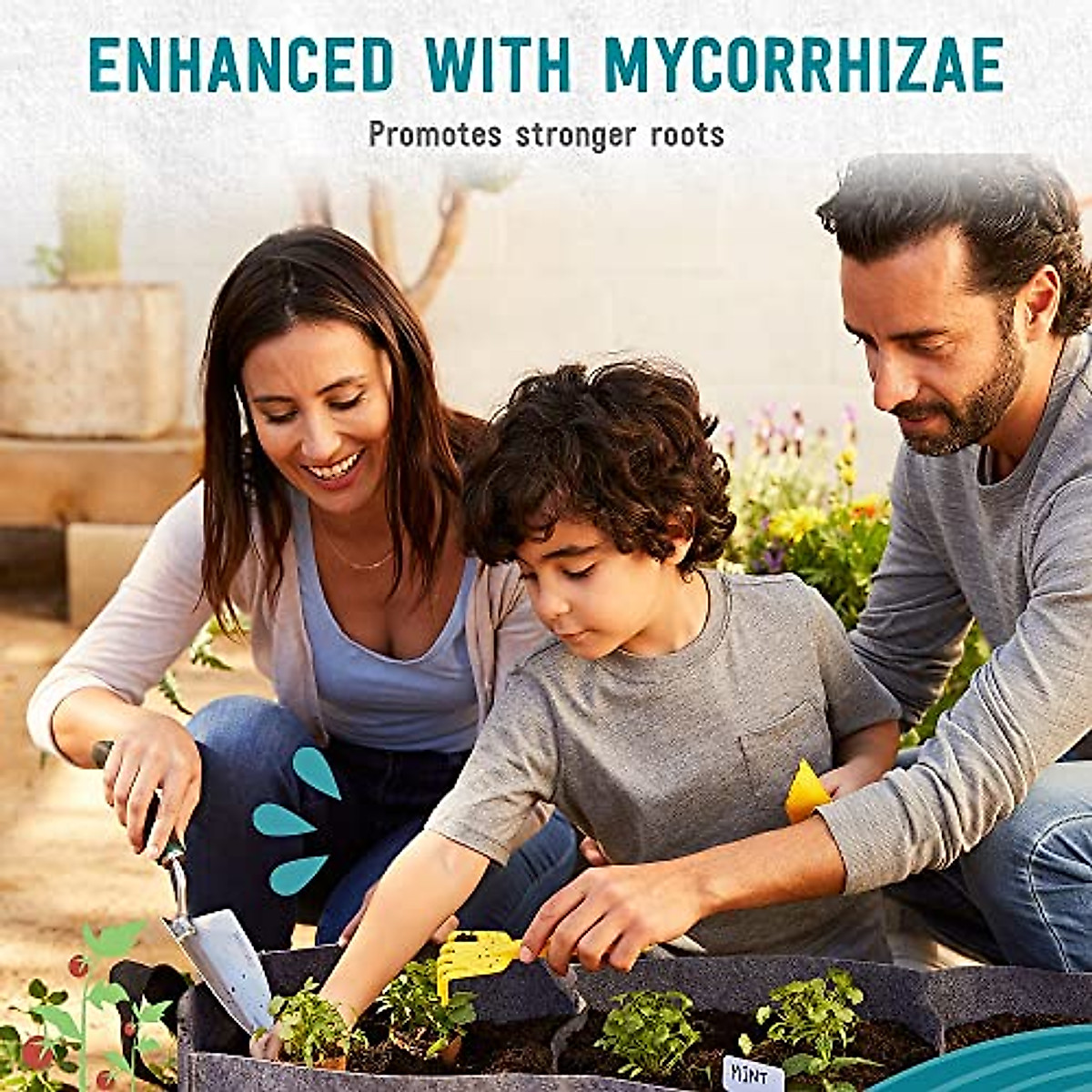 Back to the Roots All-Purpose Plant Food - Organic, Sustainably-Made for Indoor Plants with Kelp and Alfalfa Meal, Mycorrhizae, and Rock Phosphate Minerals - 1.5 lb Premium Blend