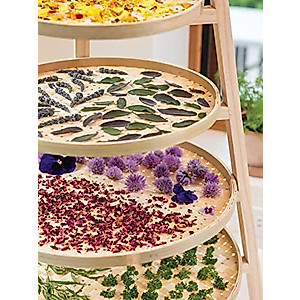 Gardener's Supply Company | Wooden Bamboo Herb Drying Rack | Floor Or Countertop Free Standing 4 Layers | with Removable Bamboo Mesh Trays | 20-1/2" W x 25" H