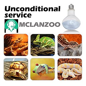 MCLANZOO Reptile Heat Lamp 75W 2 PACK,UVA Basking Spot Heat Lamp Bulbs,Natural Daylight Heating Light for Bearded Dragon, Turtle,Lizard,Chicken Brooder,Reptile with Digital Temperature Thermometer