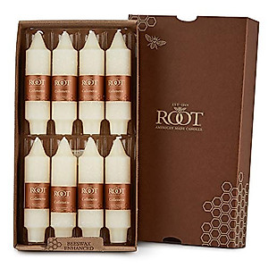 Root Candles 59517 Unscented Timberline Collenette 5-Inch Dinner Candles, 8-Count, Ivory