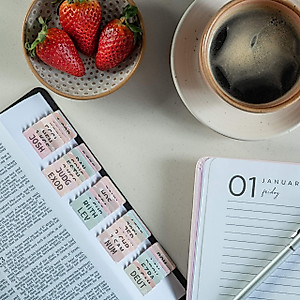 DiverseBee Laminated Bible Tabs (Large Print, Easy to Apply), Bible Tabs Old and New Testament, Bible Study Journaling Supplies, Bible Accessories, Bible Index Tabs, 72 Bible Book Tabs (Petal) Medium