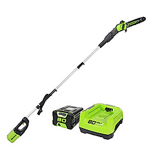 Greenworks Pro 80V 10 inch Brushless Cordless Polesaw, 2Ah Battery and Charger Included PS80L210