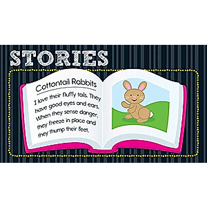 I Can Write! Mini Bulletin Board Set