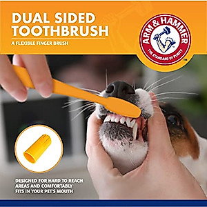 Arm & Hammer for Pets Dog Dental Care Fresh Breath Kit for Dogs | Includes Arm & Hammer Baking Soda Dog Toothpaste and Dog Toothbrush | Dog Plaque Removal Kit