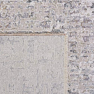 SAFAVIEH Webster Collection 4' x 6' Grey/Beige WBS310G Distressed Premium Viscose Area Rug