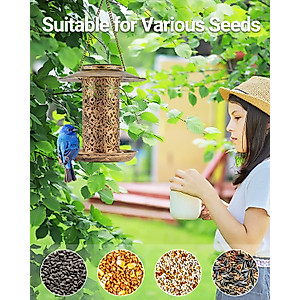 SWEETFULL Solar Bird Feeder for Outdoors Hanging, Metal Wild Bird Feeder for Cardinals Solar Garden Lantern with S Hook as Gift Ideas for Bird Lovers (2LBs Heavy Duty Weather Resistance birdfeeders)