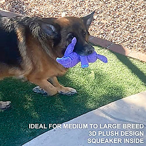 Jalousie 5 Pack Tough Plush Animal Dog Toys Assortment Value Bundle Dog Squeaky Toys Assortment Puppy Pet Mutt Dog Toy Dog Squeak Toy for Medium Large Dogs