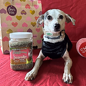 Doggijuana | Juananip™ Refill | Premium Organic Ground Catnip for Dogs | All Natural | Grown in The USA (Juananip Jar)