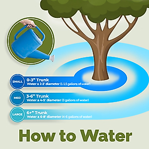 Banana Tree Fertilizer for All Banana Tree Plants, Liquid Plant Food 8 oz (250mL)