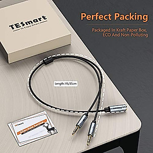 TESmart Headphone Splitter Audio Cable, 3.5mm Female to a Dual Male Headphone/Microphone Y Splitter Audio Adapter for Desktop PC, Laptop with a Combo Audio Port (1-Pack,1FT)