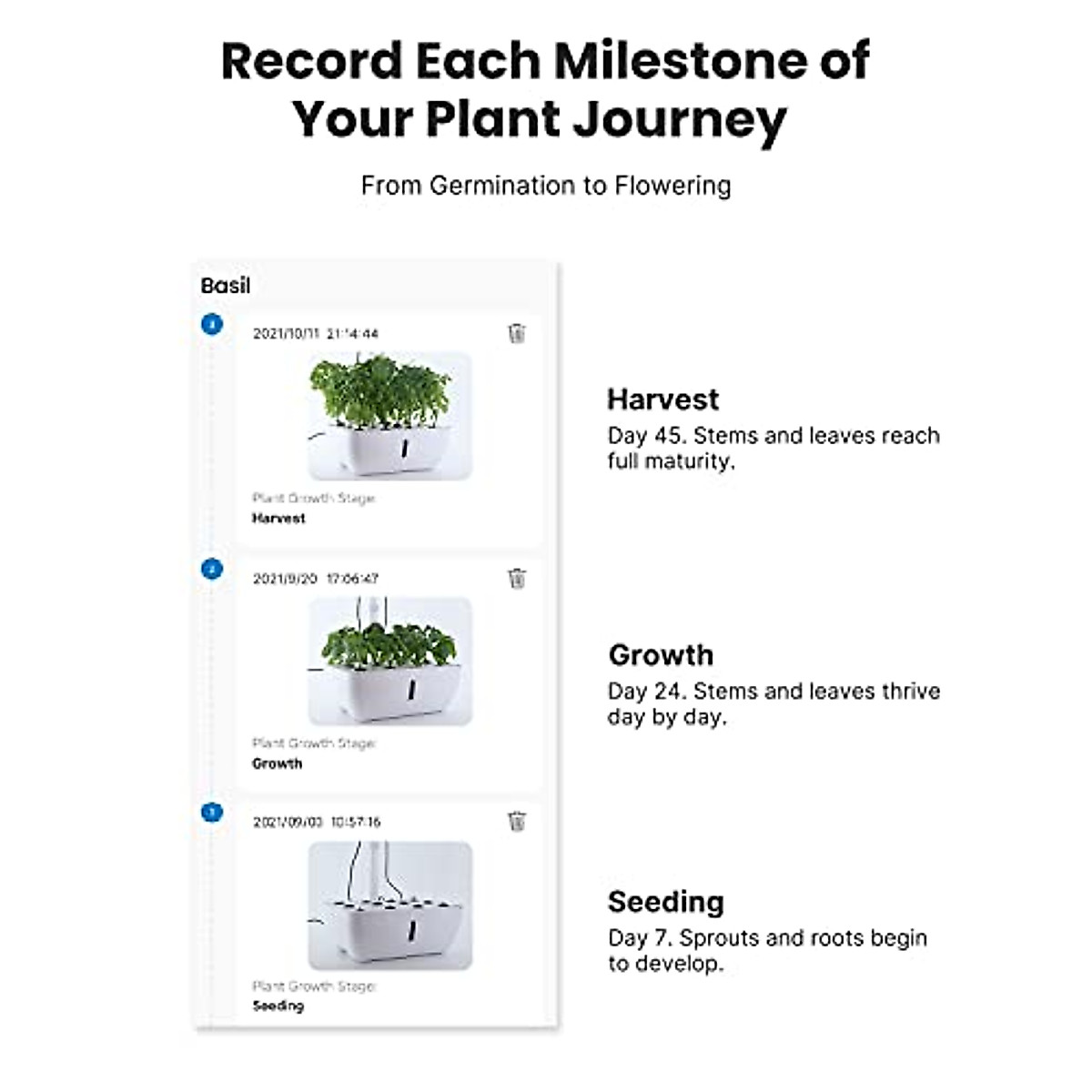 iDOO WiFi 12 Pods Hydroponic Growing System with 6.5L Water Tank, Smart Hydro Indoor Herb Garden Up to 14.5", Plants Germination Kit with Pump System, Fan, Grow Light for Home Kitchen Gardening, White