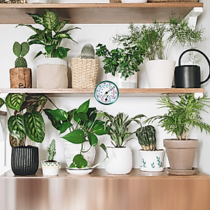 4 Pieces Indoor Outdoor Thermometer Hygrometer 2 in 1 Temperature Humidity Gauge Analog Hygrometer for Indoor Office Home Room Outdoor, No Battery Required, in Green and White