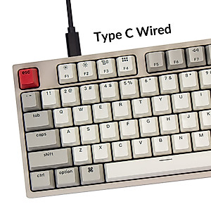 Keychron C1 Hot-swappable Wired Mechanical Keyboard for Mac Layout, Keychron Mechanical Blue Switch/USB Type-C Cable/Double-Shot ABS Keycaps Tenkeyless 87 Keys Computer Keyboard for Windows PC