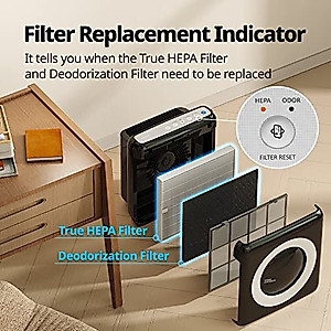 Coway Airmega AP-1512HH True HEPA Air Purifier with Air Quality Monitoring, Auto Mode, Timer, Filter Indicator, Eco Mode