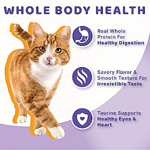 Halo Adult Wet Cat Food, Grain Free, Chicken Stew 5.5oz Can (Pack of 12)