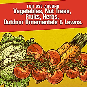 Corry's Slug and Snail Killer 1.75 Pound Box