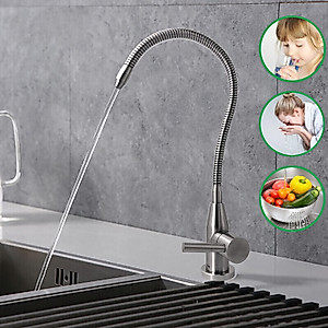Drinking Water Faucet with Flexible Gooseneck, 360 Degree Rotatable Water Filter Faucet, Kitchen Bar Sink Faucet Lead-Free Cold Water Faucet - Brushed Finish Stainless Steel