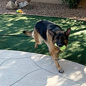 Jalousie 18 Pack Dog Squeaky Toys Cute Stuffed Pet Plush Toys Puppy Chew Toys for Small Medium Dog Puppy Pets - Bulk Dog Squeaky Toys