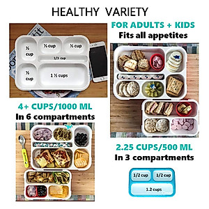 Bento Lunch Box and Snack Container Value Set| Meal Planning Portion Containers For Kids or Adults, School or Work | BPA Free | Microwave Safe | Utensils | 4 pack, Large and Mini, Blue + Navy