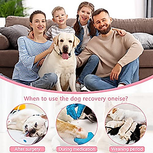 Etdane Recovery Suit for Dog Cat After Surgery Dog Surgical Recovery Onesie Female Male Pet Bodysuit Dog Cone Alternative Abdominal Wounds Protector Pink Plaid/Hear/X-Small