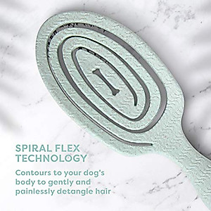 BioSilk for Dogs Eco-Friendly Boar Hair Bristle Brush in Mint Green | Easy to Hold Ergonomic Handle Dog Brush for Shedding | Best Pet Brush for Dog Grooming