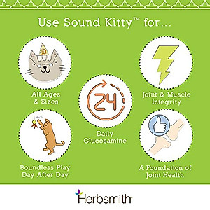 Herbsmith Sound Kitty – 5-in-1 Joint Care for Cats with Chondroitin, Glucosamine & MSM – 75g