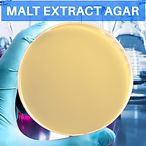 Malt Extract Agar Plates - Evviva Sciences - Great for Mushrooms, Molds, Fungus - 10 Prepoured MEA Petri Dishes - Also Great for Science Fair Projects!