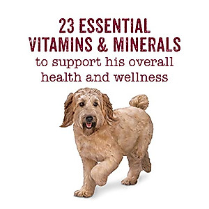 Beneful Purina High Protein Wet Dog Food Variety Pack, Prepared Meals & Chopped Blends - (16) 10 oz. Tubs