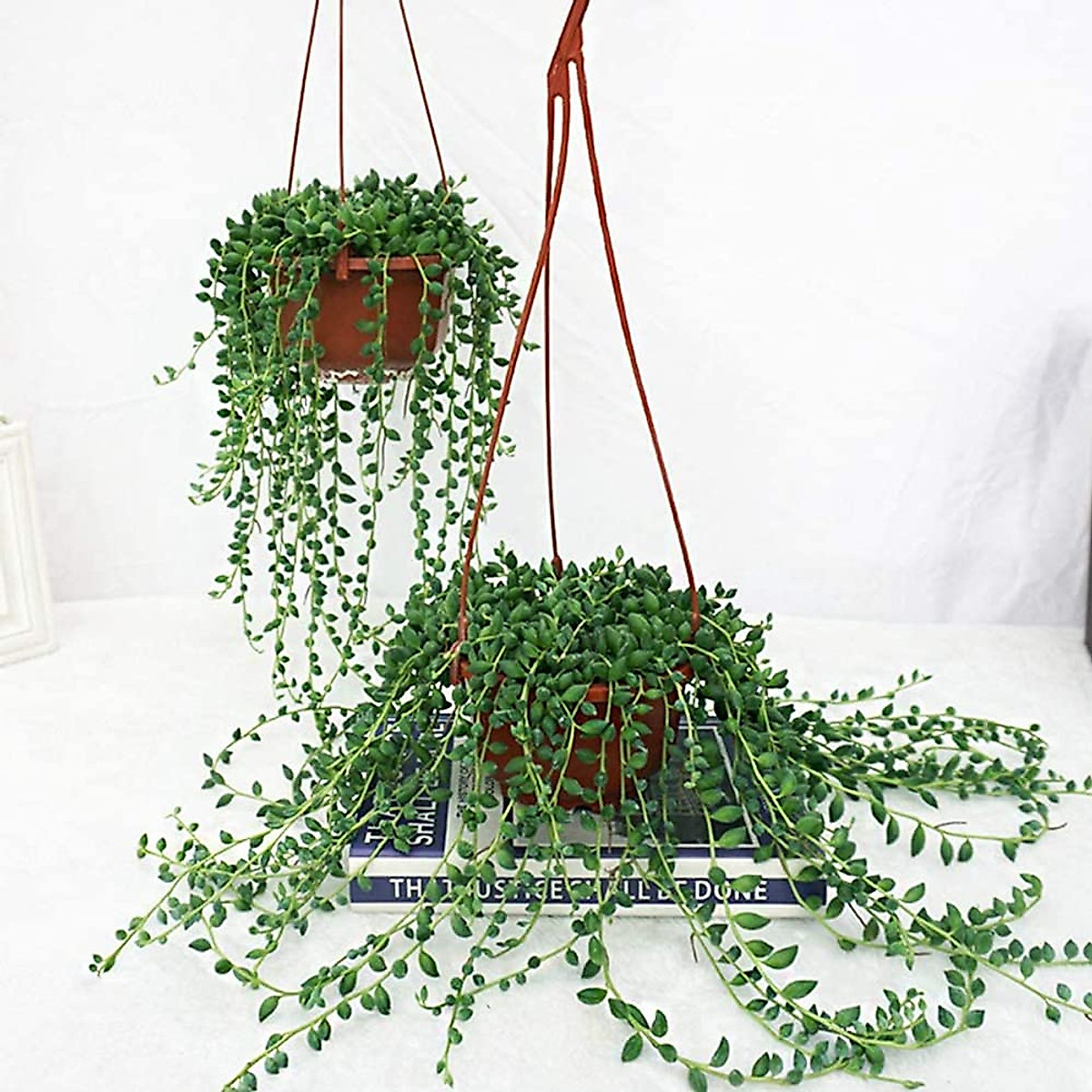 caapmony 5Pcs Artificial Succulents Hanging Plants Bulk 2.4FT Large Fake String of Pearls for Wall Home Garden Decor(Unpotted)