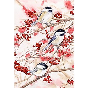 Toland Home Garden 1110443 Chickadees and Berries Spring Flag 12x18 Inch Double Sided Spring Garden Flag for Outdoor House Bird Flag Yard Decoration
