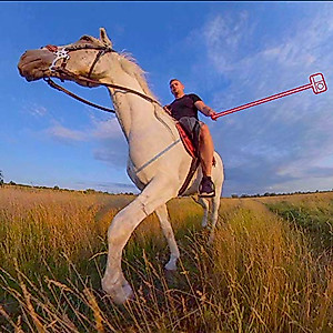 Insta360 ONE R Twin Edition Memory Card Bundle – 4K Action Camera & 5.7K 360 Camera with Interchangeable Lenses, Stabilization, IPX8 Waterproof, Touch Screen, AI Editing