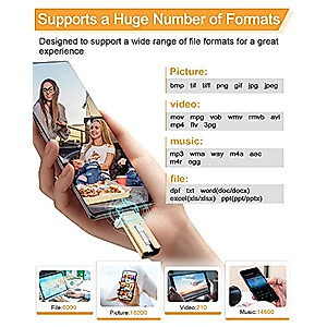 Sunany USB Flash Drive 256 GB for Phone and Pad, High Speed External Thumb Drives USB Memory Storage Photo Stick for Save More Photos and Videos (Gold)