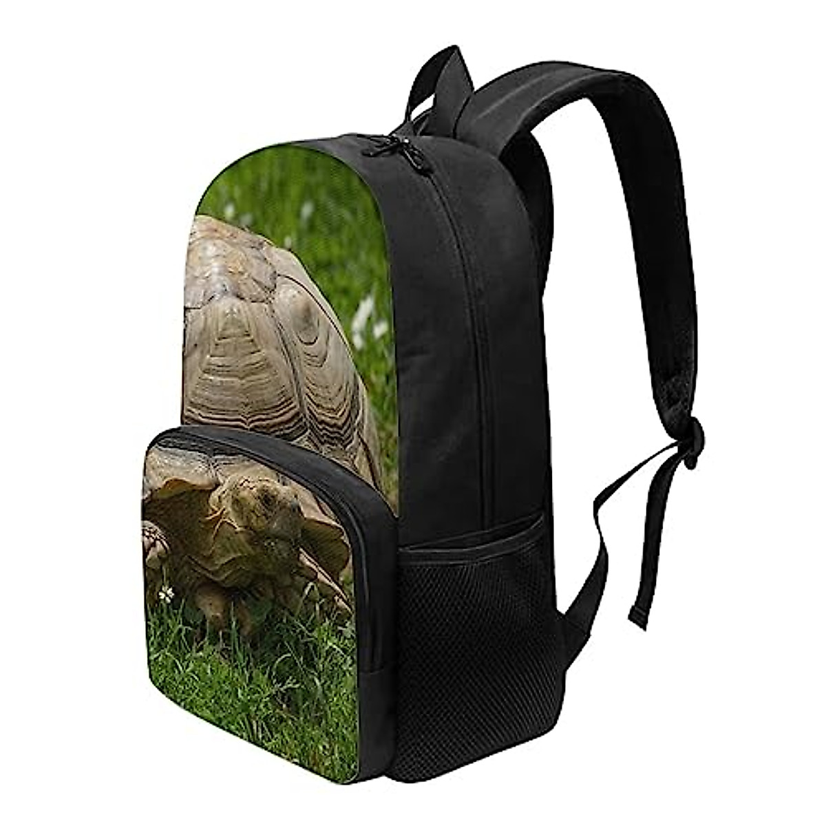 Parprinty Kids Funny Animal Tortoise Backpack for Boys Girls Comfy Padded Lightweight Sturdy Student School Backpack with Front Pocket Double Zipper 17 Inch Kids Basic Black Daypack Bookbag