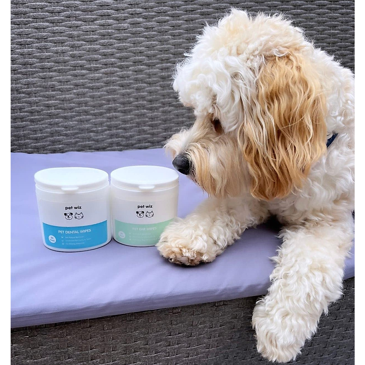 Dental Finger Wipes with Spearmint Oil for Dogs & Cats. Removes Plaque & Tartar, Care for Gums & No Rinsing Required.