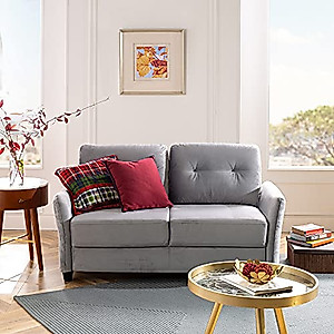 ZINUS Ricardo Velvet Loveseat Sofa / Easy, Tool-Free Assembly, Grey Velvet