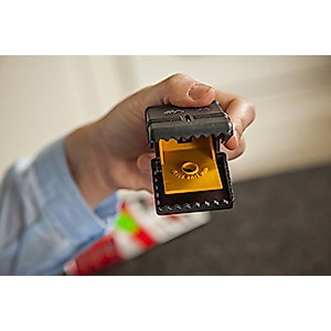 Tomcat Snap Traps, 2-Pack (Mouse Trap) (Not Sold in AK)